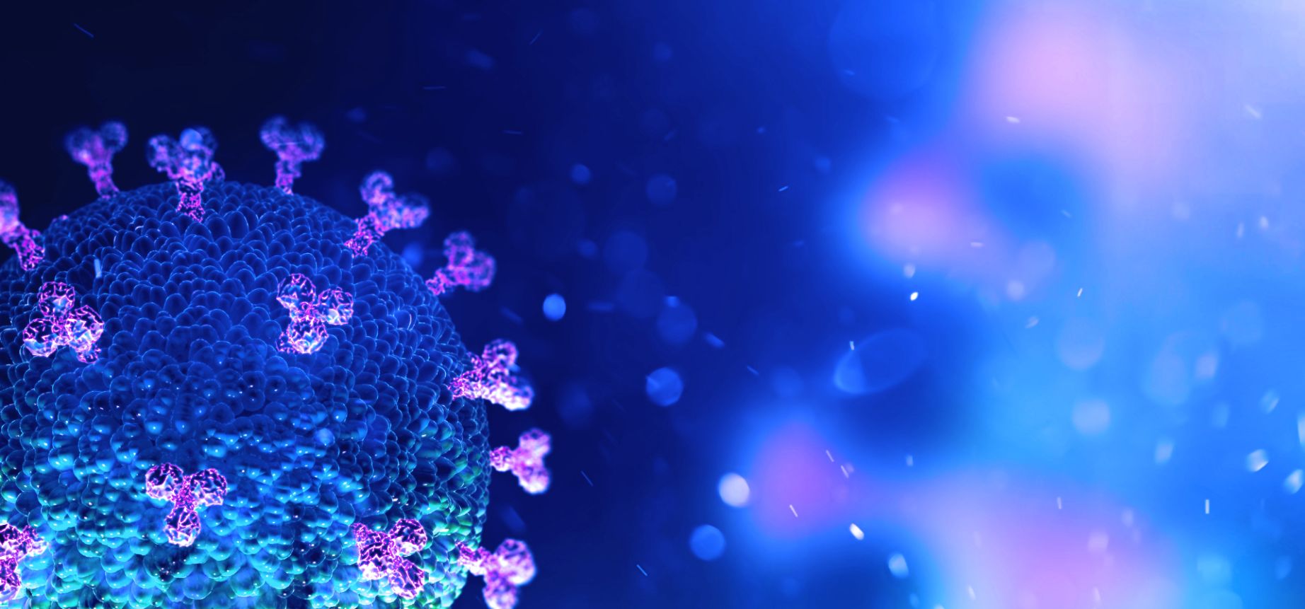 MICTSETA | Sector Education and Training Authority